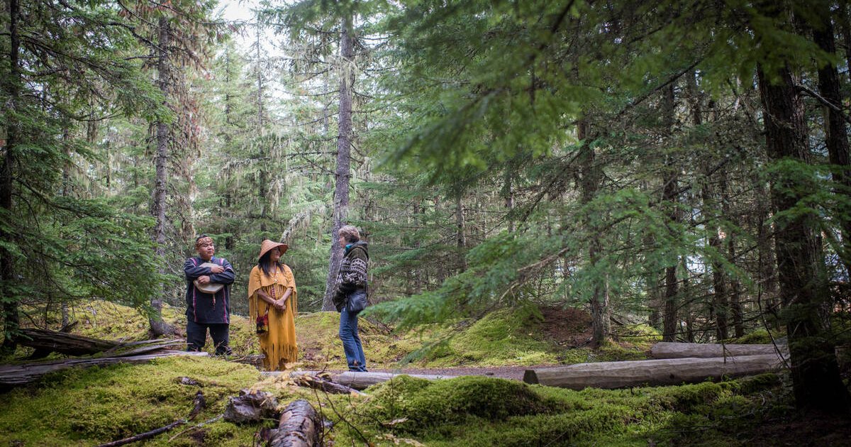 Impact Point: Trespassing & Disrespectful Use - DLITD | Don't Love It ...