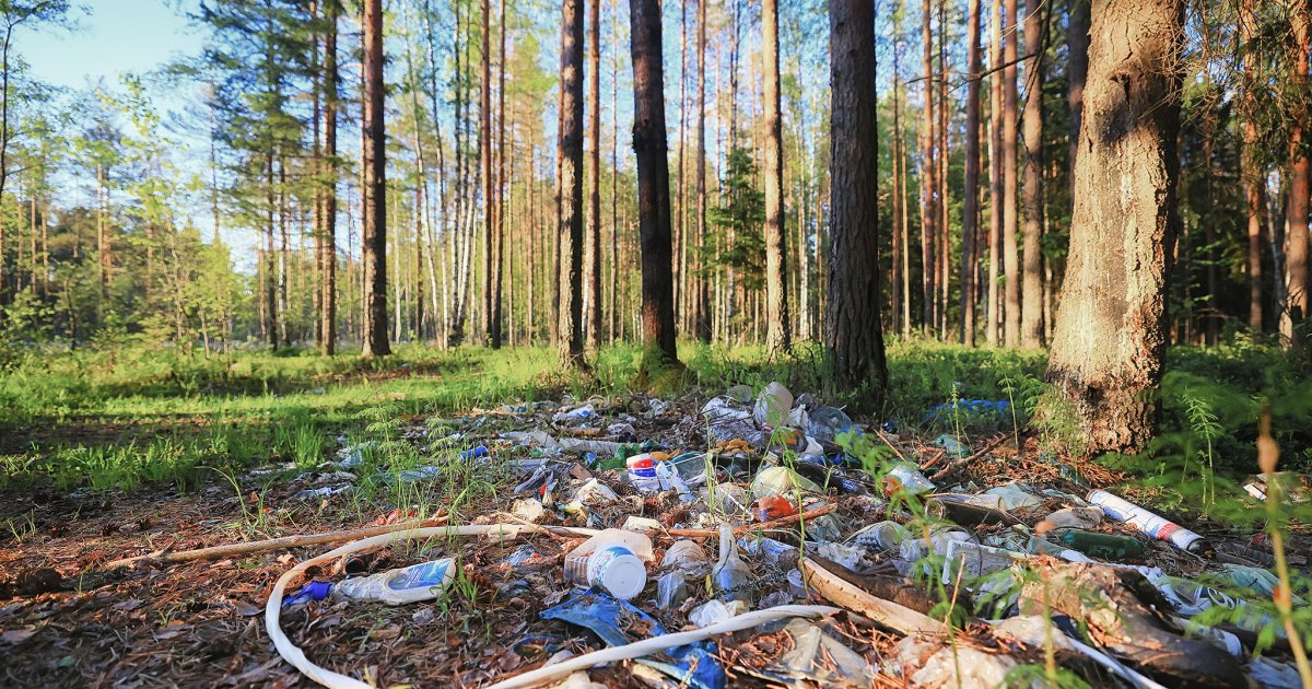 Impacts on People, Places & Wildlife - Don't Love It To Death | Don't ...